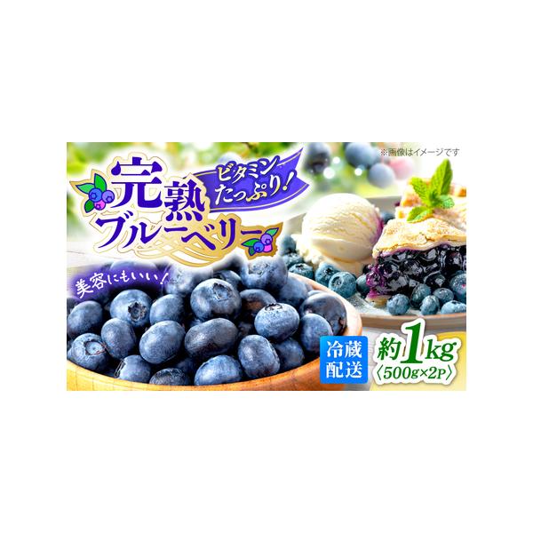 ■ 容量　完熟生 ブルーベリー 計1kg（約500g×2パック）■ 配送について　2026年6月中旬?8月中旬　※収穫時期に寄附申込いただいた場合は、1週間程度で発送いたします　タイプ：【冷蔵】
