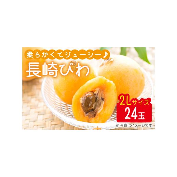 ■ 容量　びわ 2Lサイズ 24玉（計1kg〜1.5kg）■ 配送について　5月7日から5月中旬の間に発送いたします。　※寄附者様都合によりお受け取りがされず痛みなどが発生した場合、再送は致しかねますのでご了承くださいませ。　タイプ：【常温】