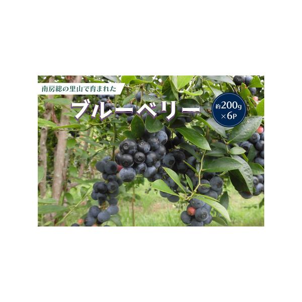 ■ 容量　ブルーベリー（約200g）×6パック　10種類のうち旬のものを2〜3種類　■ 配送について　2026年7月中旬から順次発送　　【配送不可地域】北海道，四国，九州，沖縄，離島（東北・関東・中部・近畿・中国のみ配送）　　タイプ：【冷蔵】