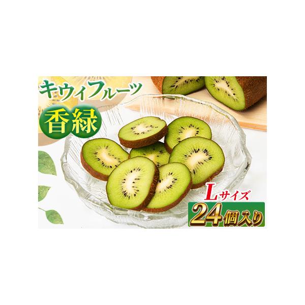 ■ 容量　Lサイズ 24個■ 配送について　ご入金確認後、30営業日以内に出荷　　返礼品到着後レビューご記入をお願い致します。　　・商品到着後、中身のご確認を必ずお願いいたします。お申込みと違う商品が届いたり、不良品・状態不良がございました...