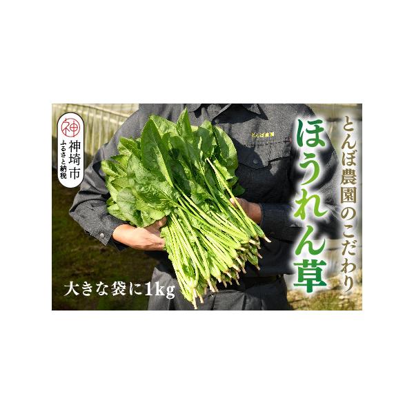 ■ 容量　・ほうれん草 バラ詰め 1kg（大きな袋に1kg)　　【賞味期限】　発送日より、冷蔵で10日間　※到着後すぐに冷凍保存した場合は約1ヶ月■ 配送について　10月より翌年6月までの期間で順次発送　※発送期間中は決済完了から14日前後...