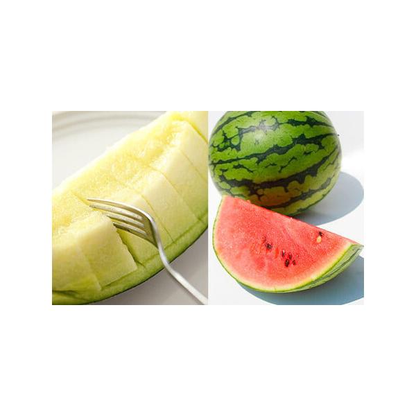 ■ 容量　各1玉ずつ(1玉当たり1.2kg以上) ■ 配送について　寄附確認後、2026年4月下旬〜7月上旬迄順次発送予定　タイプ：【常温】