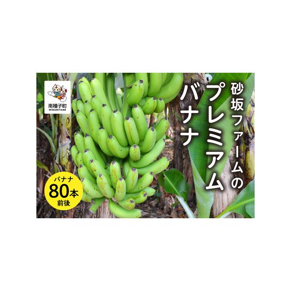 ■ 容量　８０本前後■ 配送について　入金確認後14日〜30日程度　タイプ：【常温】