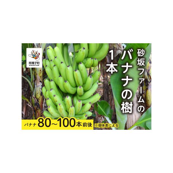 ■ 容量　８０本前後〜１００本前後■ 配送について　入金確認後14日〜30日程度　タイプ：【常温】