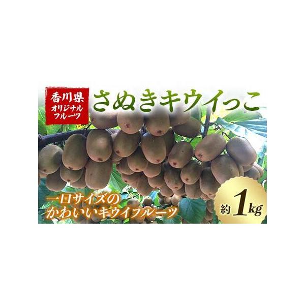 ■ 容量　約1kg■ 配送について　2026年11月20日〜2026年12月20日まで　タイプ：【常温】