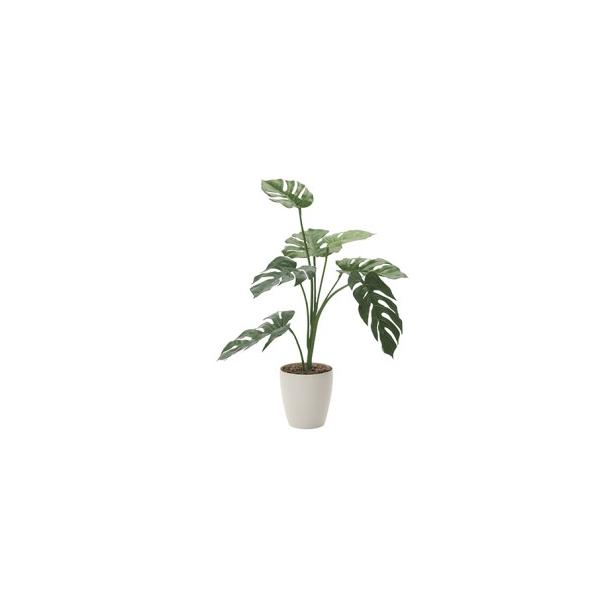 ■ 容量　光触媒人工植物『光の楽園』　商品サイズ　W60×D60×H75cm　1500g　造花（フェイクグリーン・フェイクフラワー）です。　生の植物ではありません。　　タイプ：【常温】