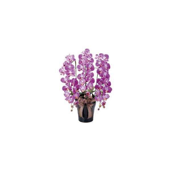 ■ 容量　光触媒人工植物『光の楽園』　商品サイズ　W55×D55×H76cm　3550g　造花（フェイクグリーン・フェイクフラワー）です。　生の植物ではありません。　　タイプ：【常温】