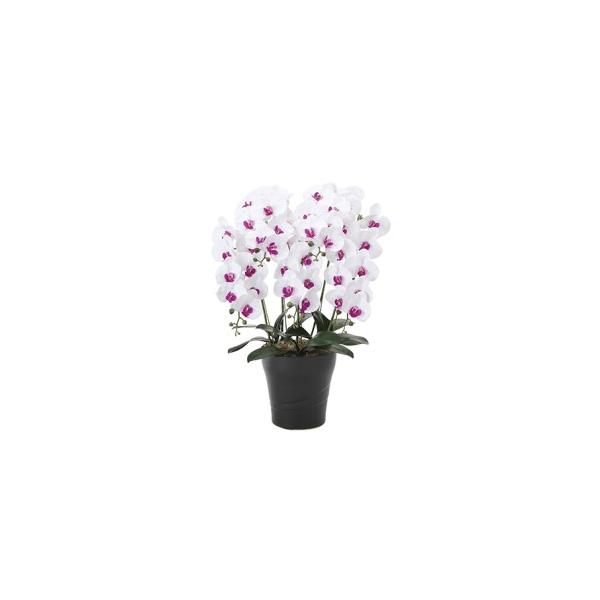 ■ 容量　光触媒人工植物『光の楽園』　商品サイズ　W50×D45×H74cm　4200g　造花（フェイクグリーン・フェイクフラワー）です。　生の植物ではありません。　　タイプ：【常温】