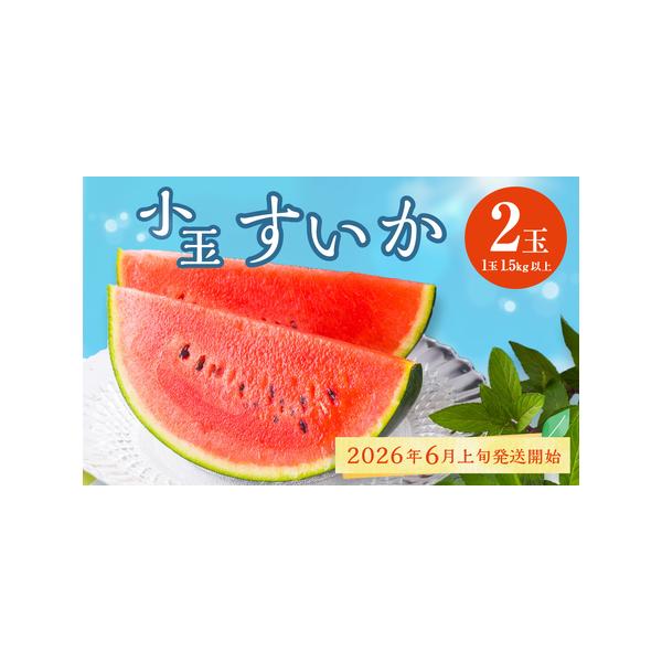 ■ 容量　2玉(1玉：1.5kg以上)　品種：ひとりじめ、黒小玉、ピノガール(ピノガール：皮目が薄く種が一般のすいかの1/4程度のマイクロシード小玉すいか)　※同じ品種が2玉届きます。■ 配送について　寄附確認後、2026年6月上旬〜6月下...