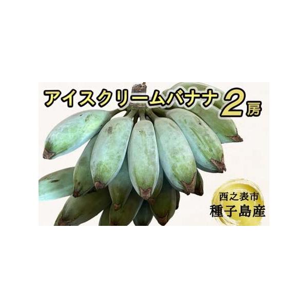 ■ 容量　アイスクリームバナナ　２房■ 配送について　８月〜1２月頃　　※天候により若干期間が変わる可能性がございます。　※輸入バナナと比べると小さめサイスです。ご理解、ご了承の上、お申込みください。　タイプ：【常温】