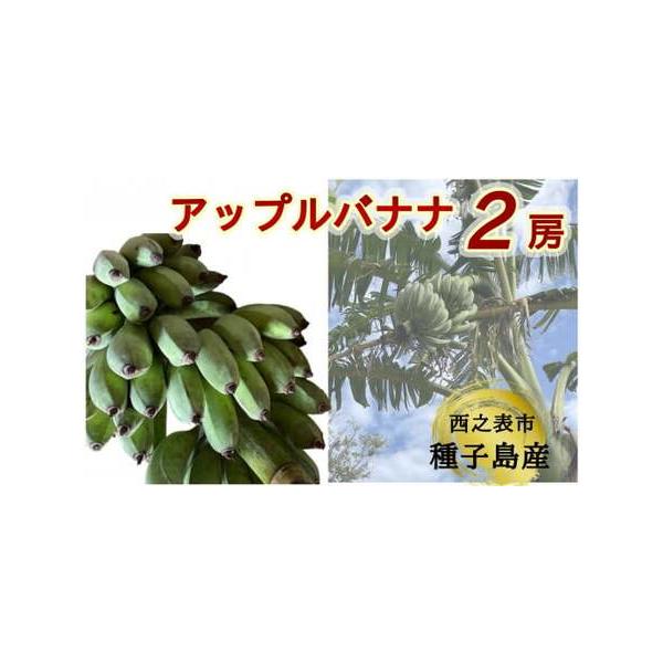 ■ 容量　アップルバナナ　２房■ 配送について　８月〜1２月頃　※ご準備が整い次第配送いたします　※天候により若干期間が変わる可能性がございます。　※輸入バナナと比べると小さめサイスです。ご理解、ご了承の上、お申込みください。　タイプ：【常温】
