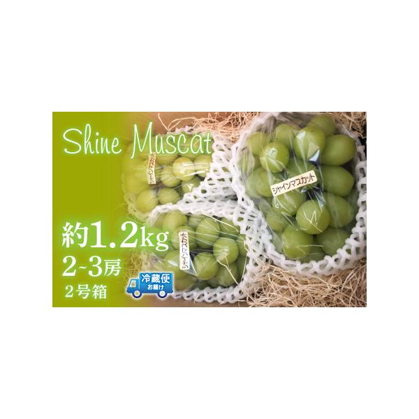 ■ 容量　シャインマスカット2号箱 約1.2kg（2〜3房入）　■ 配送について　2026年8月下旬〜10月下旬を予定　※天候状況により前後する場合がございます。　※沖縄・離島には配送不可　タイプ：【冷蔵】