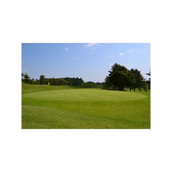 ■ 容量　一の宮カントリー倶楽部施設利用券（４枚）（12,000円分）　タイプ：【常温】