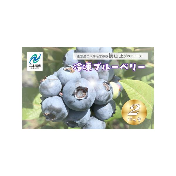 ■ 容量　125g×2個ノーザンハイブッシュ系及びラビットアイ系の冷凍果実2パック（品種の選定はお任せ下さい）■ 配送について　30日以内発送予定※土日祝夏季年末年始を除く●一部離島地域へのお届け不可について● 賞味期限が60日以下の常温便...