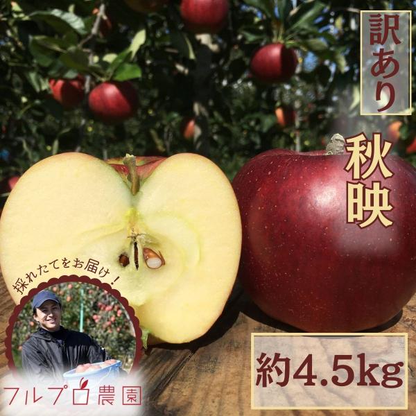 ※9月下旬〜10月初旬頃の収穫・発送開始を予定しております。長野県生まれの品種、秋映（あきばえ）を、生産地長野県から直接お届けします！秋映は、長野県中野市で生まれた品種で、同じく長野県のオリジナル品種シナノゴールド・シナノスイートと共に「信...