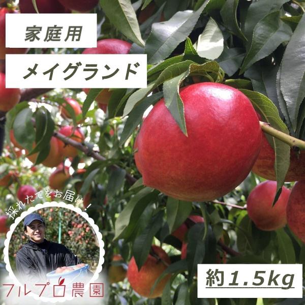 「ネクタリン」という名称自体が聞きなれない方が多いと思いますが、桃の一種です。見た目としては、一般的な「桃」と違って表面に毛がなくツルツルしており、大きさは桃とプラムの中間ぐらい。桃よりも酸味がありますが、その酸味が甘みを引き立てることで、...