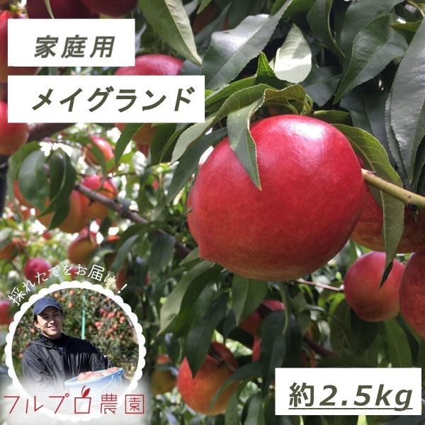 「ネクタリン」という名称自体が聞きなれない方が多いと思いますが、桃の一種です。見た目としては、一般的な「桃」と違って表面に毛がなくツルツルしており、大きさは桃とプラムの中間ぐらい。桃よりも酸味がありますが、その酸味が甘みを引き立てることで、...