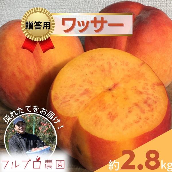 ※ご注文のタイミングによってはお盆期間中の発送となることがあります。ご留意ください。ワッサーとは、桃とネクタリンを交配して生まれた長野県生まれの希少な果物です。黄色く硬めの果肉、桃の甘さとネクタリンの酸味を良いとこどりした味わい。噛むと口い...