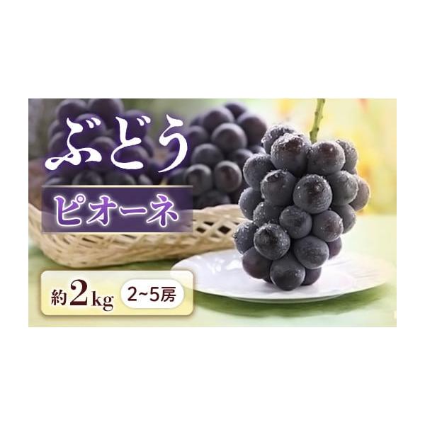容量＜2026年に発送する予約注文分です＞内容量：約2kg(2〜5房)※大きさで房数は異なります。発送期日2026年9月中旬〜9月下旬発送予定※その年の気候により配送時期に変動がある可能性がございます。※配達希望日のご指定はできません。配送...