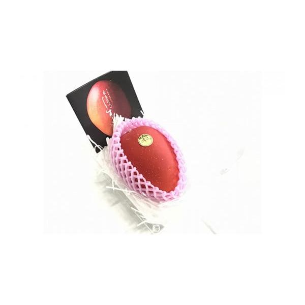 容量マンゴー　2Ｌ（約350g）　×1個入り発送期日2026年6月中旬〜7月下旬頃に順次発送予定配送冷蔵 別送申込期日 〜2026年7月12日※お申込限度数に達した場合は、予告なく締切日前にお申込みを締切る場合がございますので、あらかじめご...