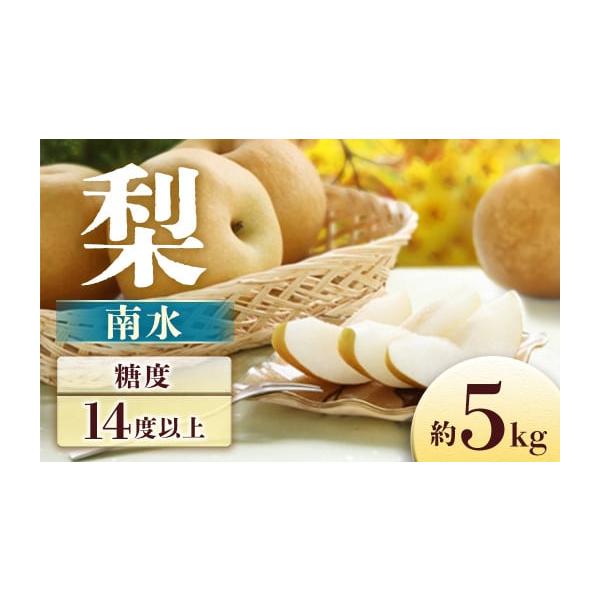 容量＜2026年に発送する予約注文分です＞内容量：8~16玉 (約5kg)※大きさで玉数は異なります。発送期日2026年9月中旬〜10月上旬発送予定※その年の気候により配送時期に変動がある可能性がございます。配送常温 時間指定 別送申込期日...