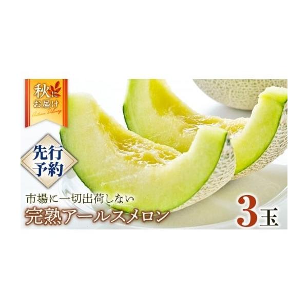 容量3玉発送期日8月下旬〜10月上旬頃発送予定（農作物のため天候等により変更がある場合があります）配送常温 別送申込期日〜2026年9月24日入金確認分まで事業者協和園芸開発株式会社申込条件何度も申し込み可