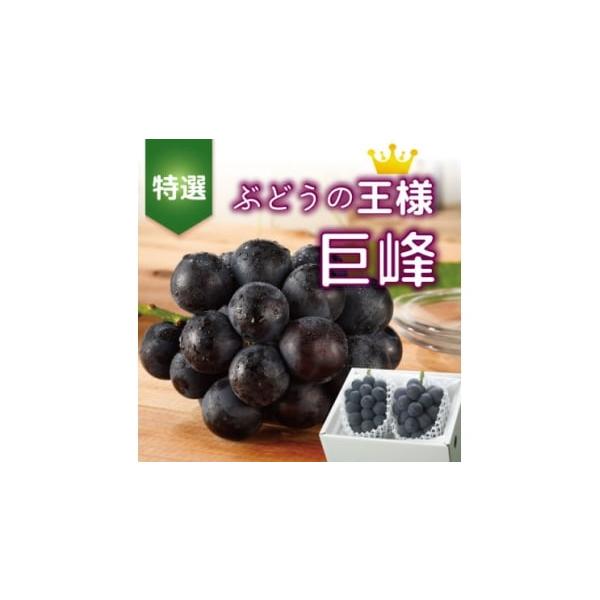 容量■内容量／原産地2房(約1kg)【山梨県】消費期限■賞味期限冷蔵で約5日※到着後、すぐにお礼品の状態をご確認のうえ、お早めにお召し上がりください。発送期日2026-08-04〜2026-09-15　※離島、沖縄県にはお届けできません。配...