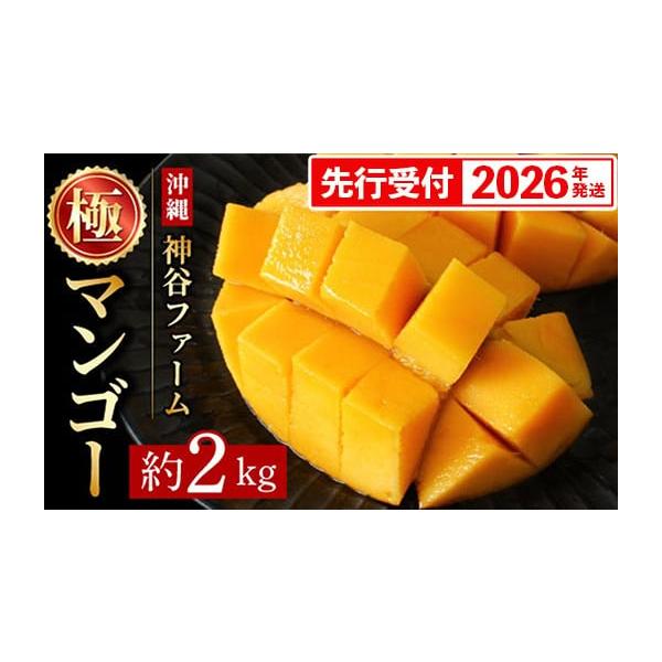容量神谷ファームのマンゴー（極）約2kg（4〜7玉　※色付き8割以上）（化粧箱入り）※玉数の指定はできません※数に限りがございます。申込数が予定数に達し次第締め切らせて頂きます。消費期限到着後はなるべくお早めに召し上がりください。発送期日発...