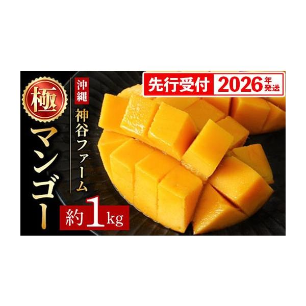 容量神谷ファームのマンゴー（極）約1kg（2〜3玉　※色付き8割以上）（化粧箱入り）※玉数の指定はできません※数に限りがございます。申込数が予定数に達し次第締め切らせて頂きます。消費期限到着後はなるべくお早めに召し上がりください。発送期日発...