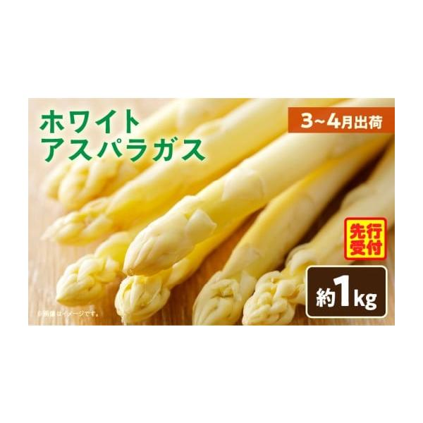 容量約1kg（30〜40本）消費期限到着後、冷蔵庫にて7日間発送期日3月〜4月配送冷蔵 時間指定 別送申込期日4月上旬まで事業者うえむら農園出荷組合申込条件何度も申し込み可