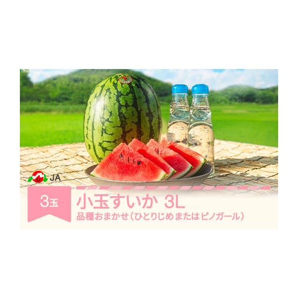 容量小玉すいか 品種おまかせ ひとりじめ または ピノガール 3Lサイズ 約2.5kg前後×3玉 ※2.5kg／玉に満たない場合もございます。発送期日7月中旬〜7月下旬※生育の状況により多少前後することがあります配送常温 時間指定 別送事業...