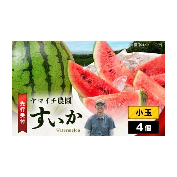 容量小玉スイカ 4個【原材料名】スイカ【原材料産地】三浦市発送期日2026年7月中旬頃より順次お届けいたします。配送常温 別送申込期日2026年6月15日までにご入金をお願いいたします。事業者ヤマイチ農園申込条件何度も申し込み可