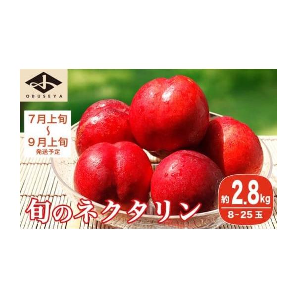 容量旬のネクタリン 約2.8kg（8〜25玉）発送期日2026年7月上旬〜9月上旬予定※天候や収穫状況により、お届けや規格が変更になる場合がございます。配送冷蔵 別送申込期日2026年9月5日まで※期限内であっても数量に達し次第終了させてい...