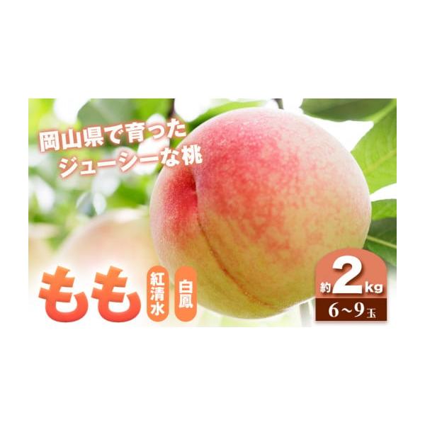 容量約2kg(6〜9玉)消費期限お早めにお召し上がりください。発送期日7月上旬-7月下旬頃出荷配送冷蔵 時間指定 別送申込期日6月29日まで事業者小寺農園申込条件何度も申し込み可、オンライン決済限定