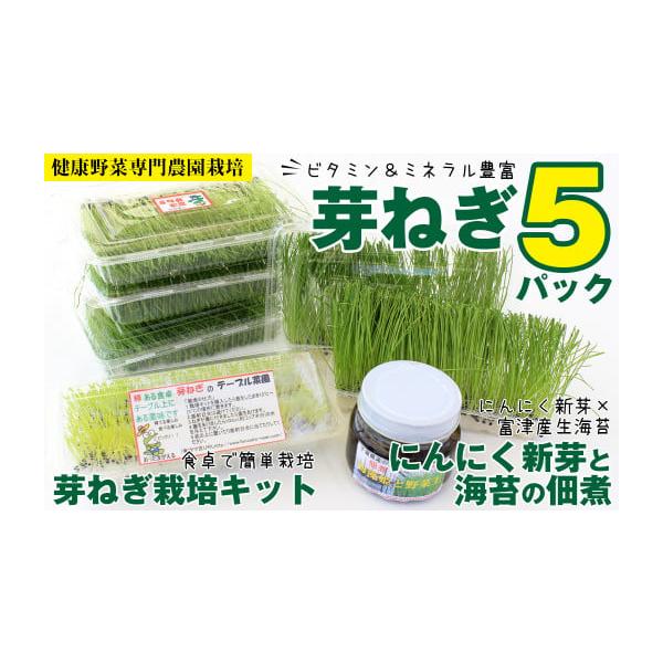 容量〈毎月数量限定〉・芽ねぎ：5パック・テーブル菜園 芽ねぎ栽培キット：1パック・にんにく新芽と海苔の佃煮：1個消費期限芽ねぎは鮮度の良い内にお召し上がりください。佃煮は表示ラベルに記載。発送期日寄附納入確認後、2週間程度で発送します。※大...