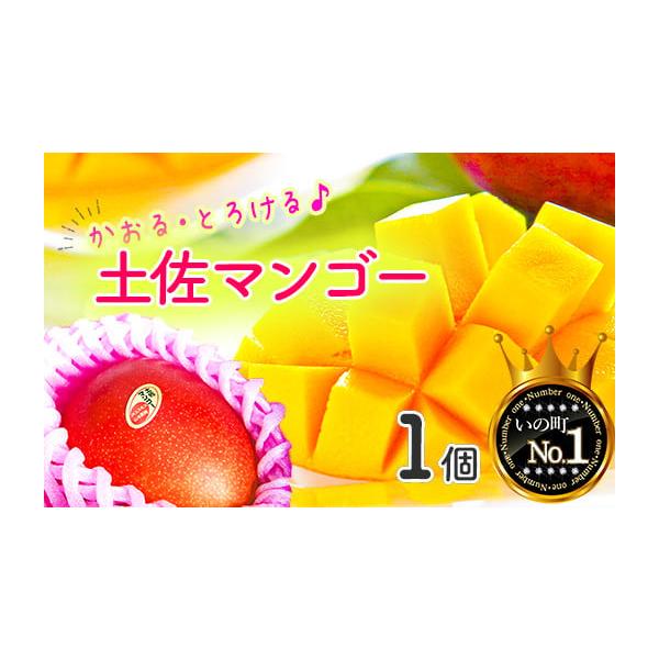 容量土佐マンゴー　1個※その年の収穫量により、サイズが異なる場合があります。消費期限日持ちの目安としてお届けから常温3日または冷蔵保存5日程度発送期日2026年5月〜8月上旬頃※発送期間内にご不在日がある場合は備考欄へご記入いただくか、いの...