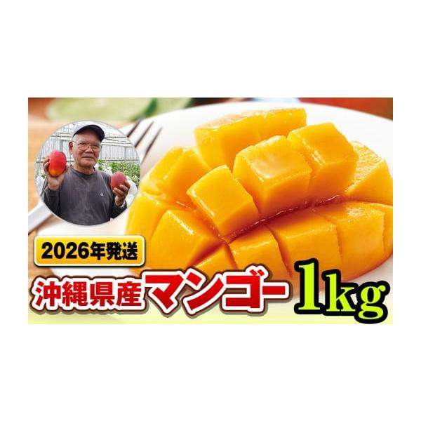 容量マンゴー1kg（2玉〜3玉） ※玉数・大きさは指定できません。消費期限青果物のため、早めにお召し上がり下さい。発送期日2026年6月中旬〜7月下旬※お申し込み順の発送となりますので予めご了承くださいますようお願い致します。【寄付金受領証...