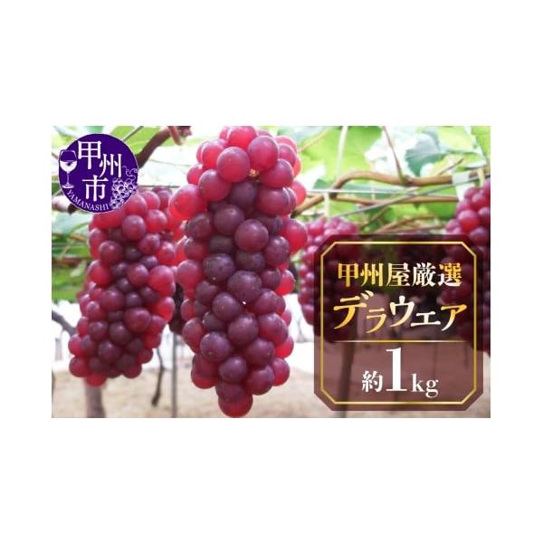 容量デラウエア葡萄 約1kg消費期限到着次第、お早めにお召し上がりください。発送期日2026年8月上旬〜8月中旬頃、順次発送予定※天候や収穫状況により出荷に変動がございます。（※沖縄・離島へのお届けはできかねております）配送冷蔵 時間指定 ...