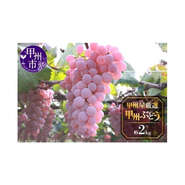 容量勝沼町岩崎産の 甲州（種あり）葡萄 約2kg消費期限到着次第、お早めにお召し上がりください。発送期日2026年10月上旬〜10月下旬頃、順次発送予定※天候や収穫状況により出荷に変動がございます。（※沖縄・離島へのお届けはできかねておりま...