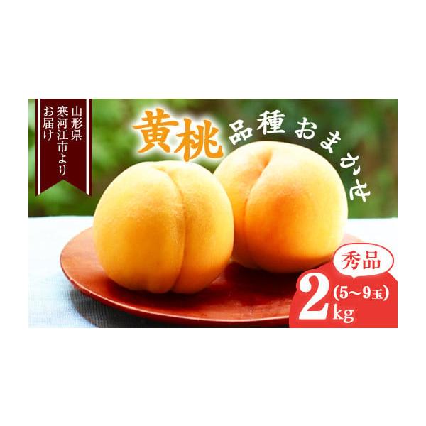 容量2026年産（令和8年産）山形県産（寒河江市産）黄桃 品種おまかせ 秀品 2kg（5〜9玉）「月あかり、黄金桃、黄貴妃、黄ららのきわみ、スウィート光黄、きなつ、西尾ゴールド、光月、ラストゴールド」などから１品種※品種、サイズ、玉数の指定...
