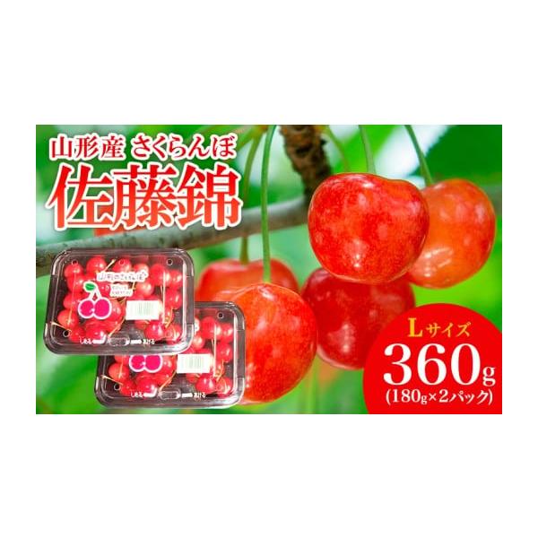 容量【令和8年産】 特選 佐藤錦 L 360g(180g×2パック入)発送期日2026年06月10日頃〜2026年06月30日頃※状況により配送時期が前後する場合がございます。(着日指定不可)配送冷蔵 時間指定 別送申込期日2026年05月...