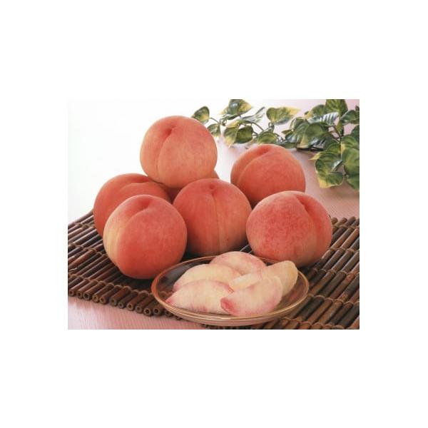 容量2kg(秀・4〜9玉)消費期限1週間程度発送期日2026年8月上旬〜8月中旬【配達】ヤマト運輸または佐川急便配送冷蔵 のし 時間指定 別送申込期日2026年7月31日まで事業者株式会社 ジェイエイてんどうフーズ申込条件何度も申し込み可