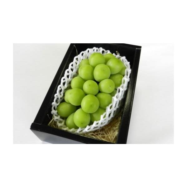 容量1房(600〜800g)消費期限1週間程度発送期日2026年9月下旬〜10月下旬※生育状況によってお届けが前後する場合がございます。【配達】ヤマト運輸配送冷蔵 のし 時間指定 別送申込期日2026年10月10日まで事業者株式会社 野川フ...