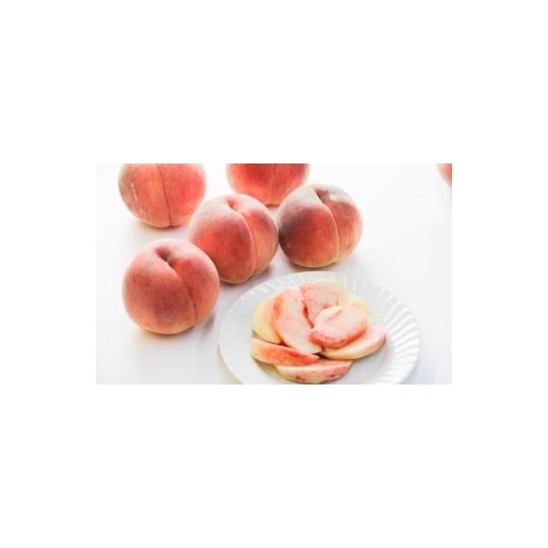 容量3kg(秀8〜12玉)消費期限1週間程度発送期日2026年8月下旬〜9月中旬配送冷蔵 のし 時間指定 別送申込期日2026年7月31日まで事業者株式会社 黒田吉五郎商店申込条件何度も申し込み可