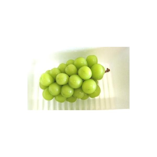 容量1房(秀600〜800g)消費期限1週間程度発送期日2026年9月中旬〜10月中旬配送冷蔵 のし 時間指定 別送申込期日2026年8月31日まで事業者株式会社 黒田吉五郎商店申込条件何度も申し込み可