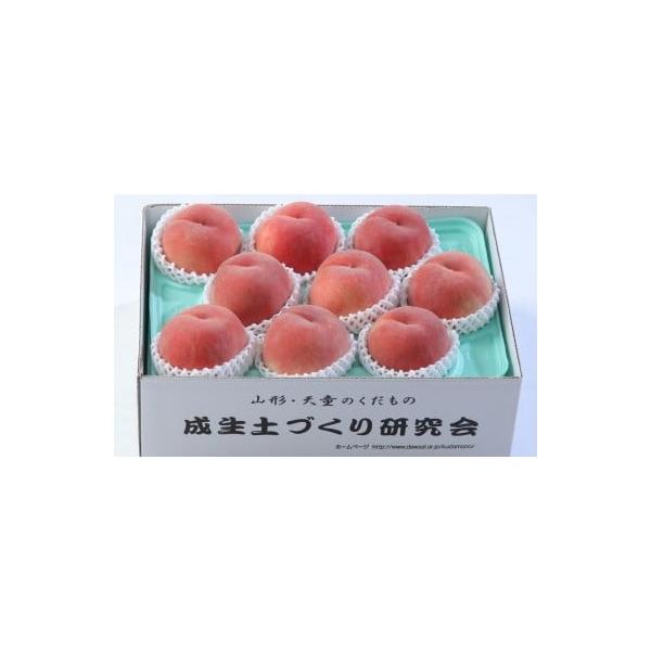 容量2.5kg(秀4〜12玉)消費期限1週間程度発送期日2026年9月上旬〜9月中旬配送冷蔵 のし 時間指定 別送申込期日2026年8月31日まで事業者成生土づくり研究会申込条件何度も申し込み可