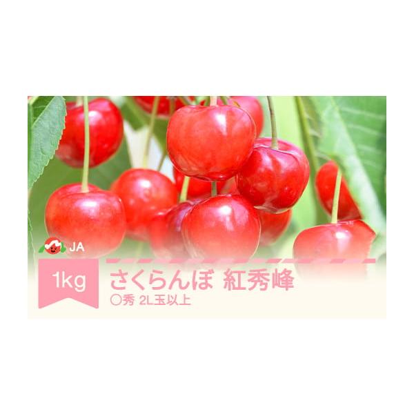 容量紅秀峰 1kgバラ詰め 〇秀以上 2L玉発送期日6月下旬〜7月上旬頃に順次発送  ※生育の状況により多少前後することがあります配送冷蔵 時間指定 別送申込期日2026年6月11日まで事業者JAみちのく村山申込条件何度も申し込み可