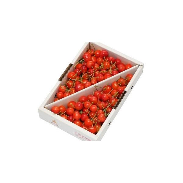 容量秀・Ｌ〜2L・1kg消費期限2〜3日程度発送期日2026年6月上旬〜6月下旬配送冷蔵 のし 時間指定 別送申込期日2026年6月5日まで事業者株式会社 やまがたさくらんぼファーム申込条件何度も申し込み可