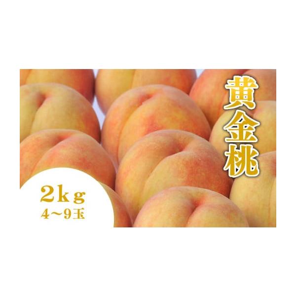容量2kg(秀・4〜9玉)消費期限1週間程度発送期日2026年8月中旬〜9月上旬【配達】ヤマト運輸または佐川急便配送冷蔵 のし 時間指定 別送申込期日2026年7月31日まで事業者株式会社 ジェイエイてんどうフーズ申込条件何度も申し込み可