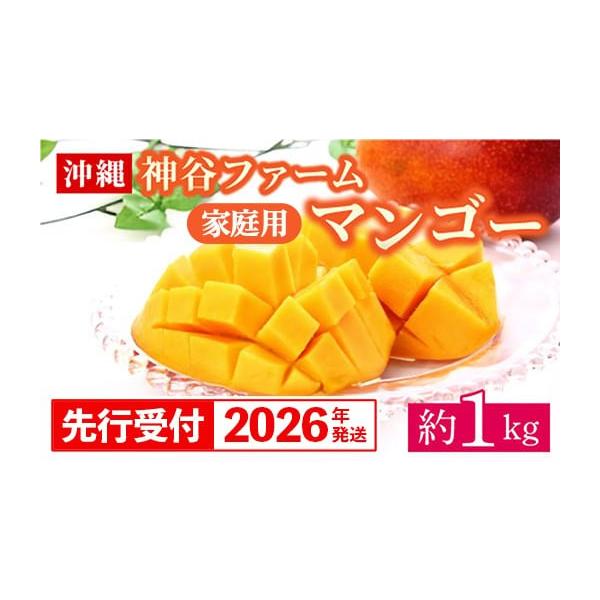 容量神谷ファームのマンゴー約1Kg※ご家庭用(台風や高温等の天候の影響で年によっては傷・黒い斑点がある場合がございます)※玉数の指定はできません※数に限りがございます。申込数が予定数に達し次第締め切らせて頂きます。アレルギー:ウルシ科消費期...